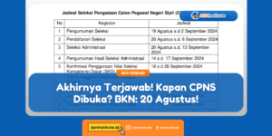 Kapan CPNS Dibuka? BKN Umumkan Pendaftaran Mulai 20 Agustus