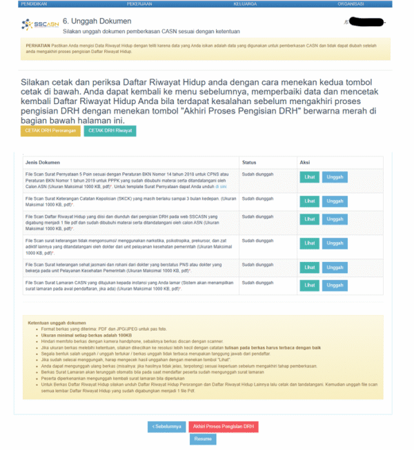 Penting! 9 Dokumen Pengisian DRH PPPK Yang Wajib Disiapkan